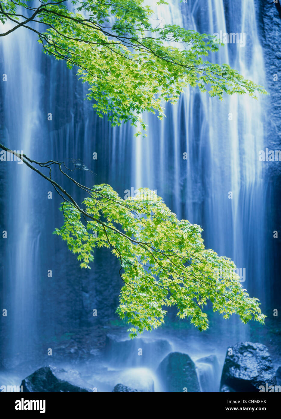 Tatsuzawafudo-no-taki Waterfall, Inawashiro, Yama, Fukushima, Japan ...