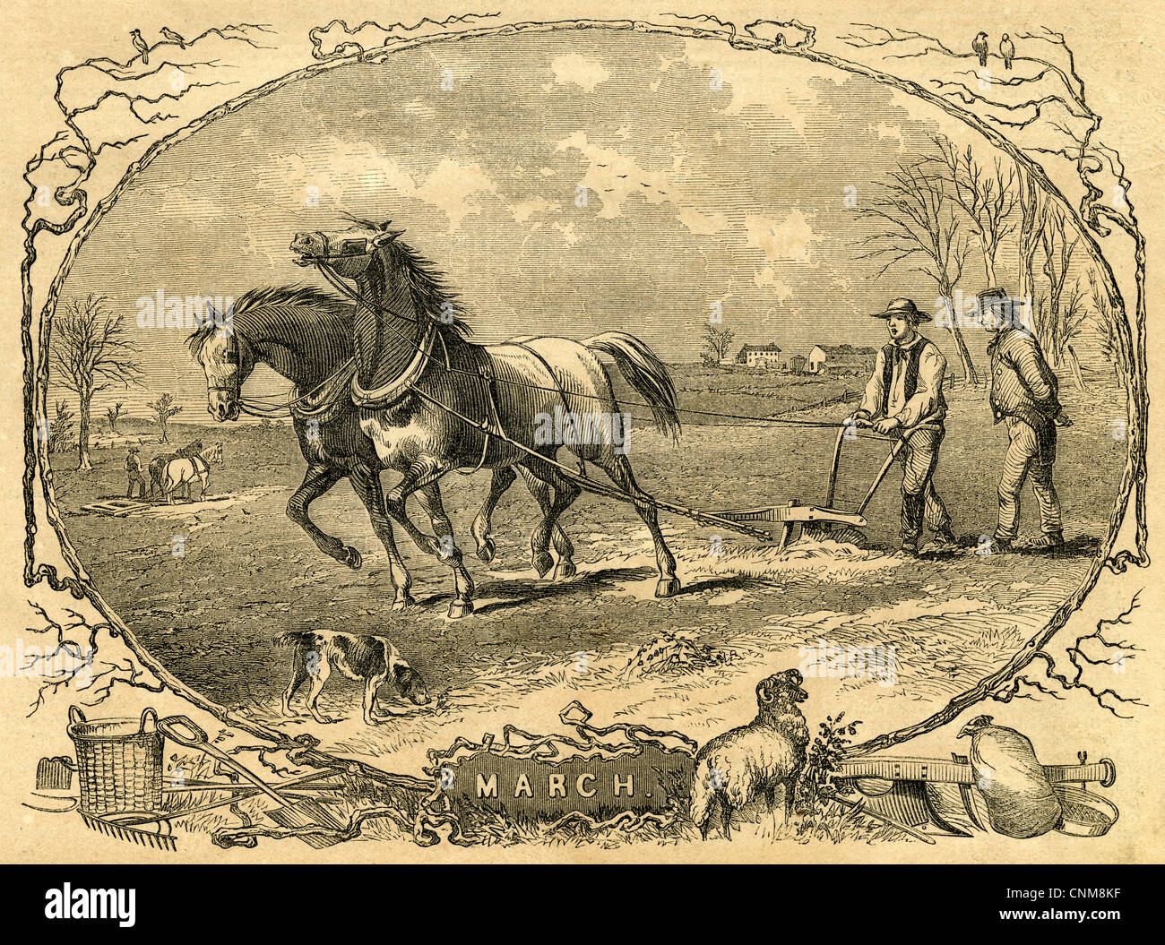 Plow 1800s hi-res stock photography and images - Alamy