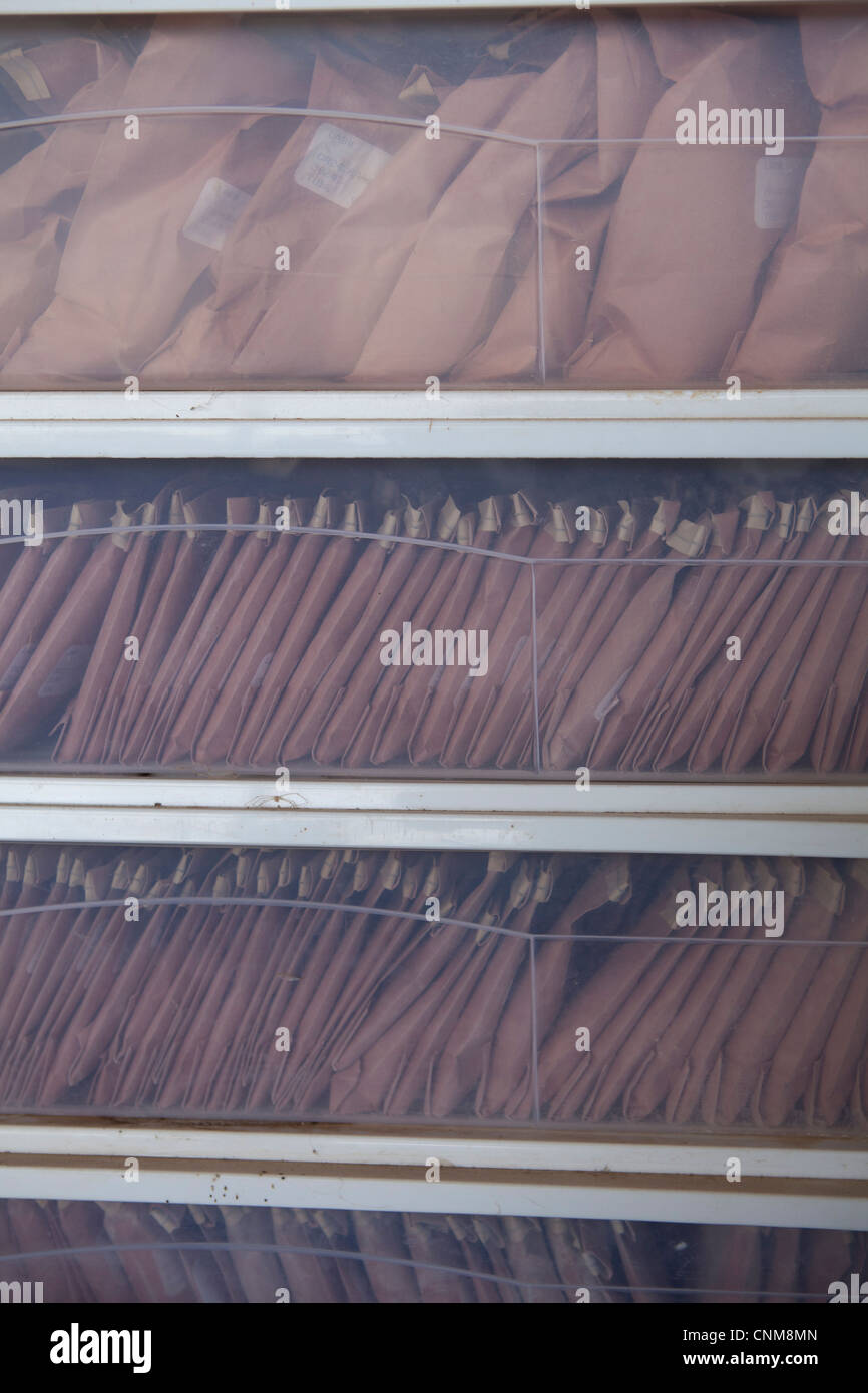 Sample Pulp High Resolution Stock Photography and Images - Alamy