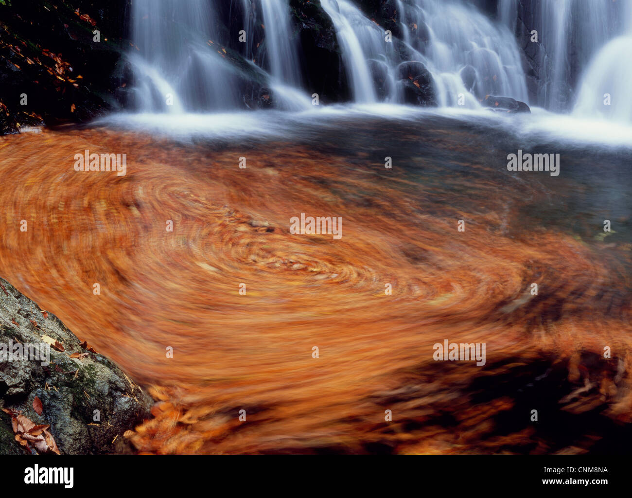 Floating Autumn Leaves on Sankai Waterfall, Shichinohe, Kamikita ...