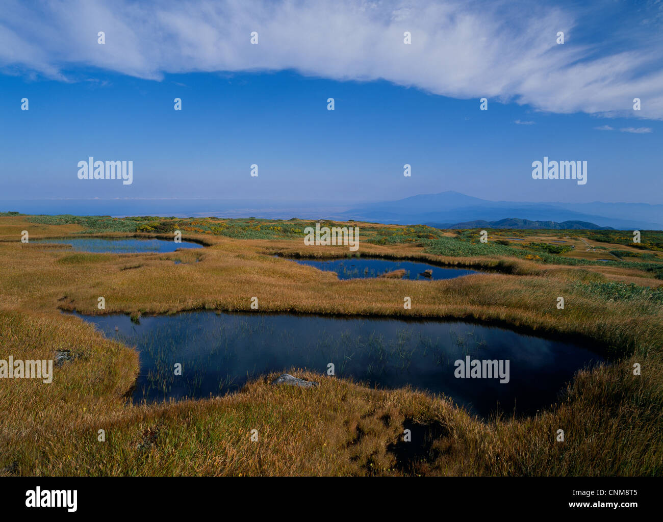 Midagahara, Shonai, Higashitagawa, Yamagata, Japan Stock Photo - Alamy