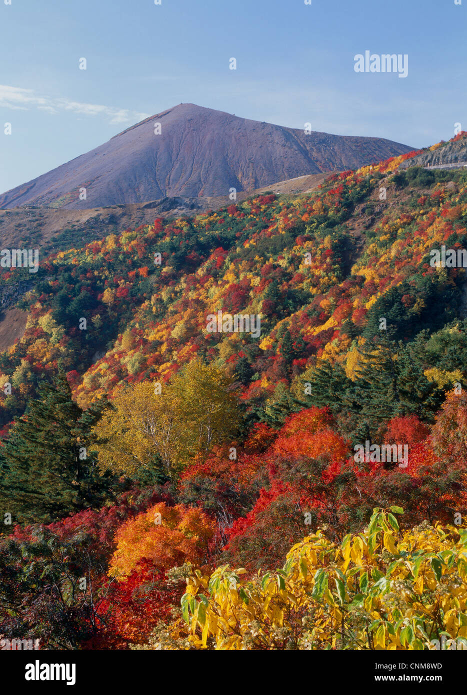 Autumn Leaves of Mount Azuma-kofuji, Fukushima, Fukushima, Japan Stock ...