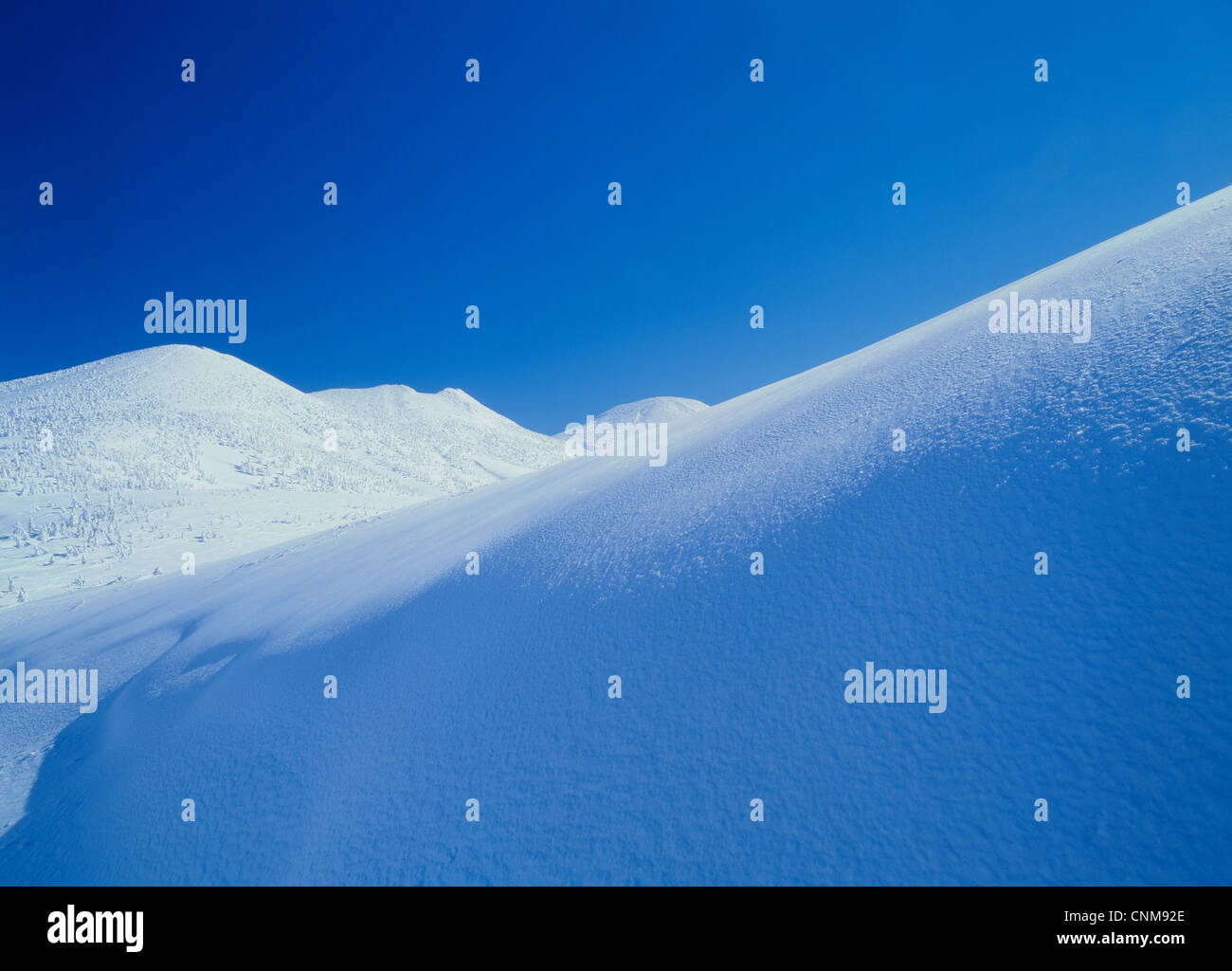 Snowscape of Hakkoda Mountains, Aomori, Aomori, Japan Stock Photo - Alamy