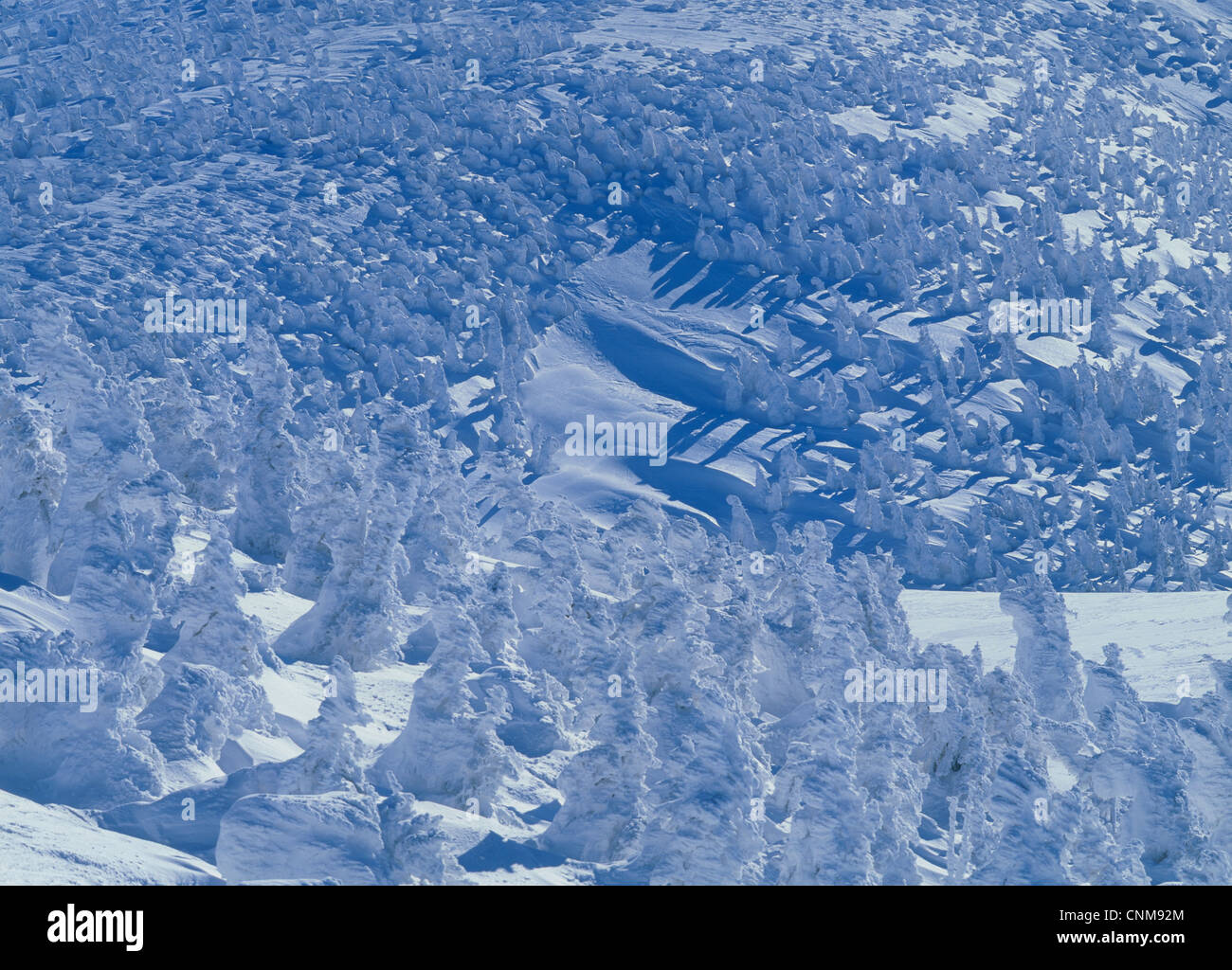 Snowscape of Hakkoda Mountains, Aomori, Aomori, Japan Stock Photo - Alamy