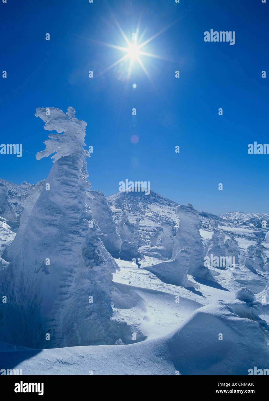 Snowscape of Hakkoda Mountains, Aomori, Aomori, Japan Stock Photo - Alamy