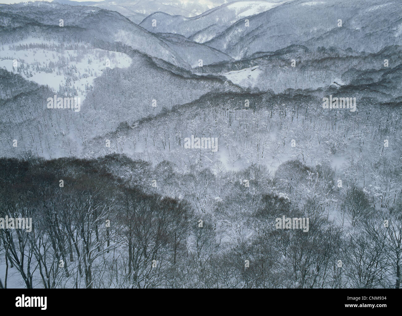 Snowscape of Hakkoda Mountains, Aomori, Aomori, Japan Stock Photo - Alamy