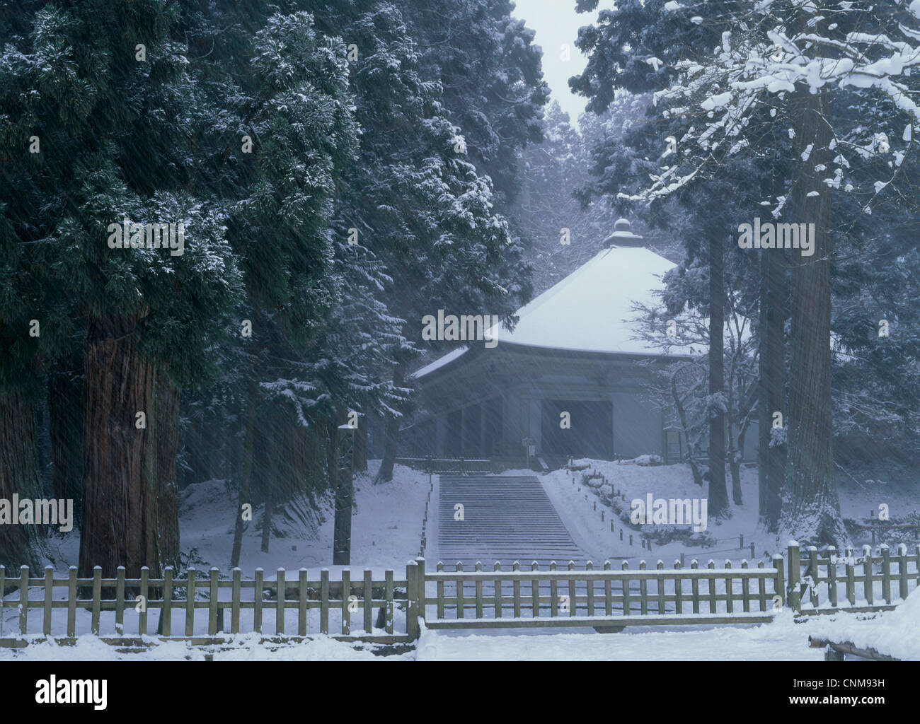 Snowscape of Konjikido at Chusonji Temple, Hiraizumi, Nishiiwai, Iwate ...