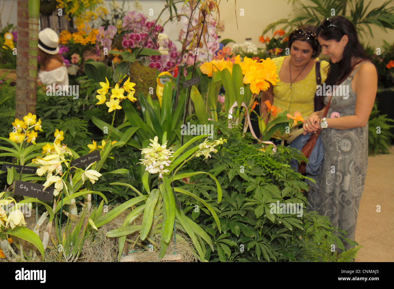 Miami Florida,Coral Gables,Fairchild Tropical Gardens,Orchid Show,event ...