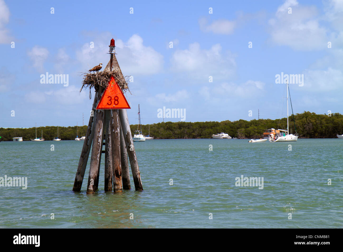 Florida Upper Key Largo Florida Keys High Resolution Stock Photography ...