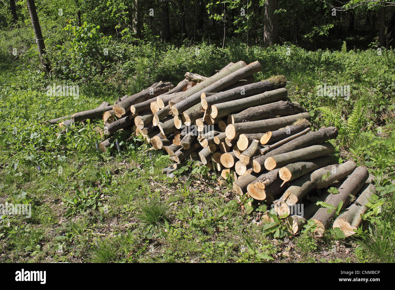 Thornham magna estate hi-res stock photography and images - Alamy