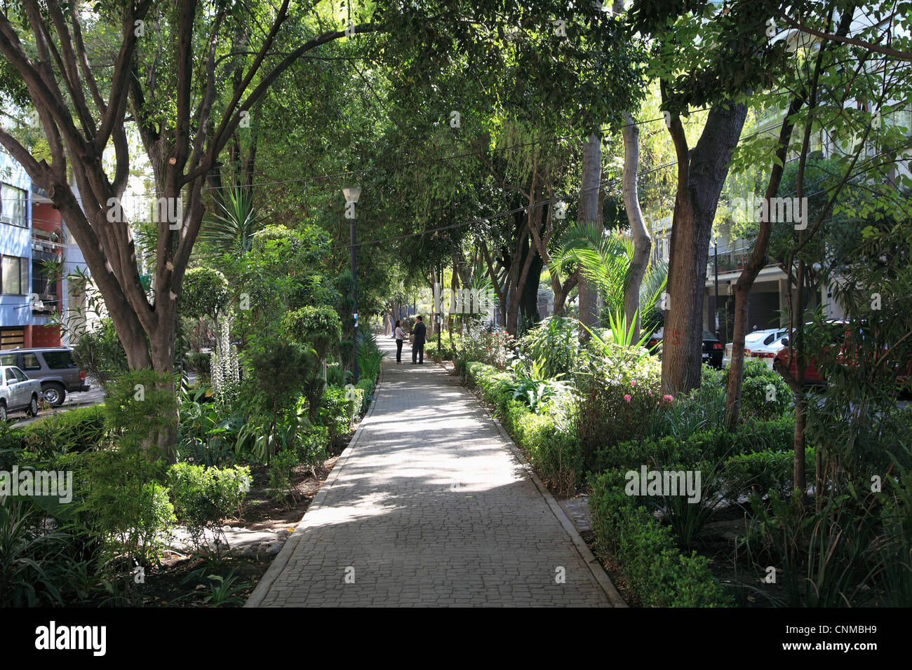 Condesa District Mexico City