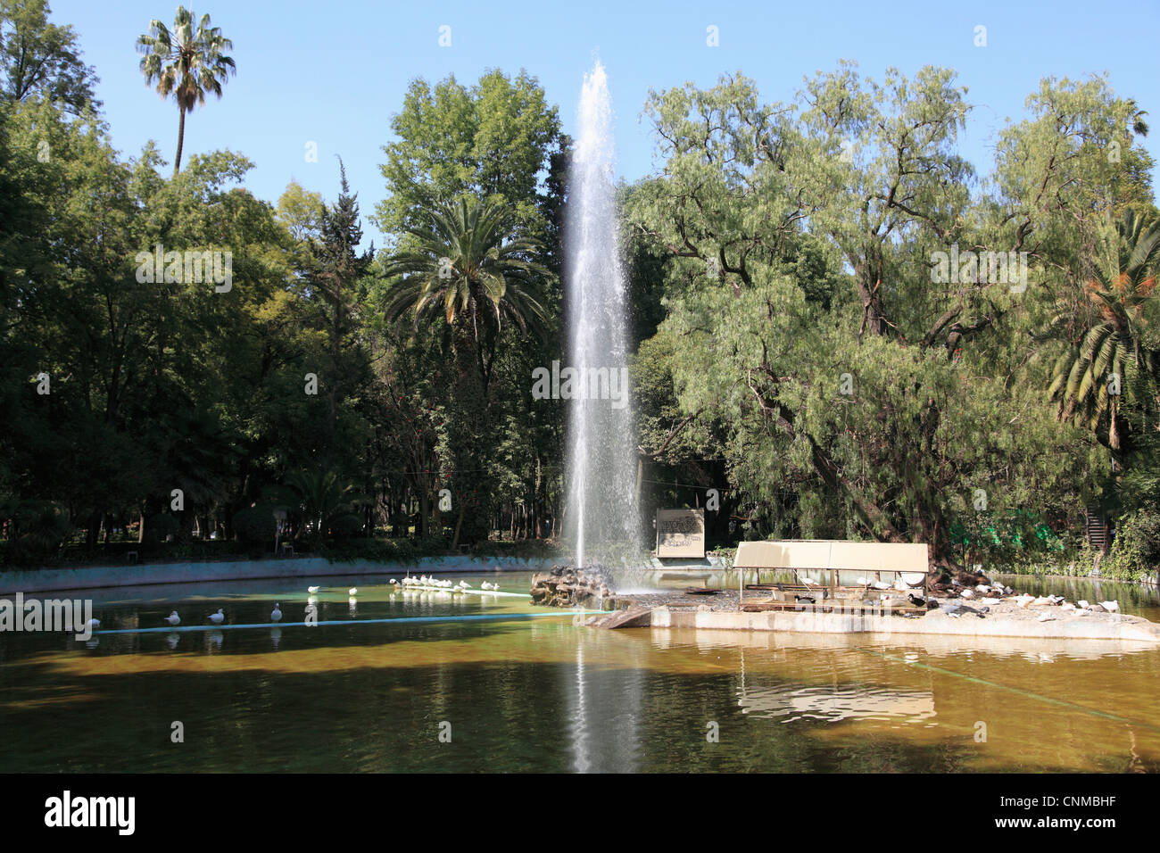 Parque Mexico (Mexico Park), Colonia Condesa, La Condesa, a trendy ...