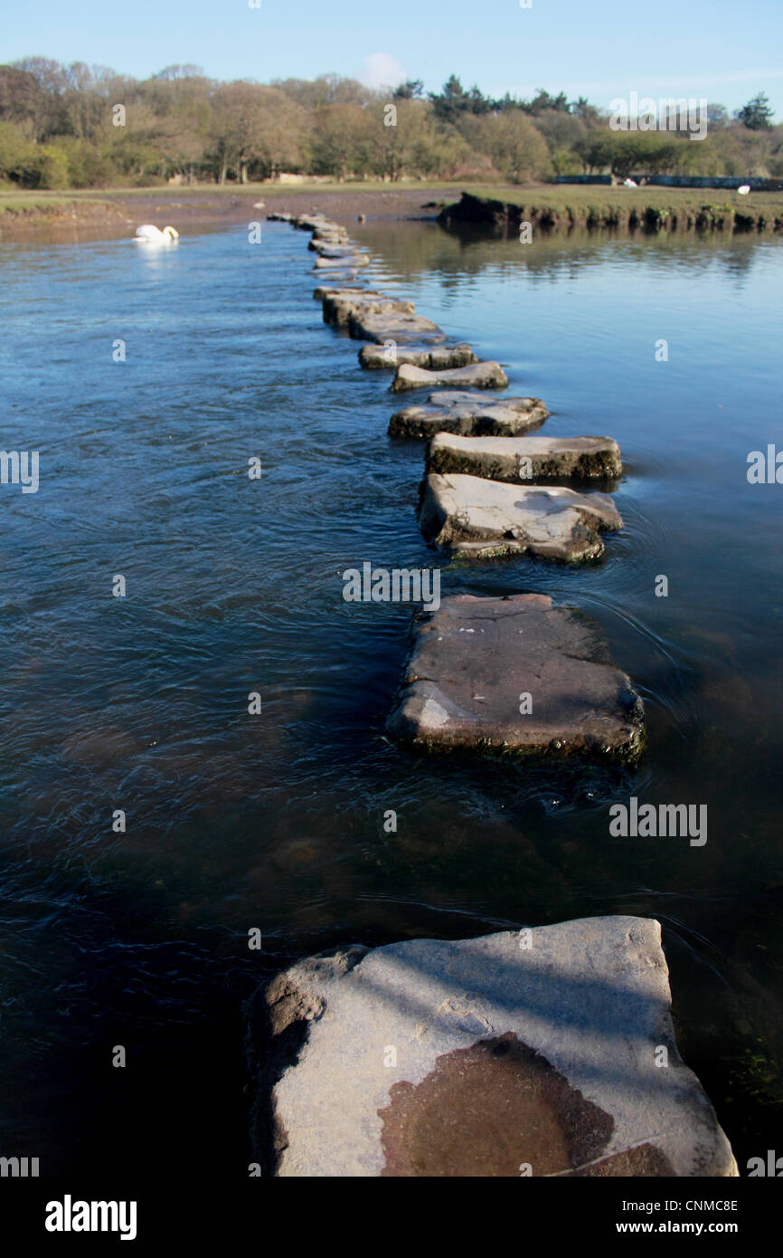 Stepping Stones at Ogmore Castle Stock Photo - Alamy