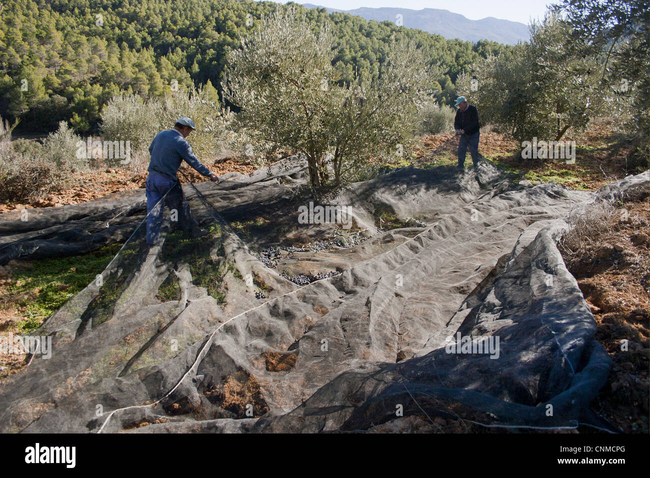 Yeste spain hi-res stock photography and images - Alamy