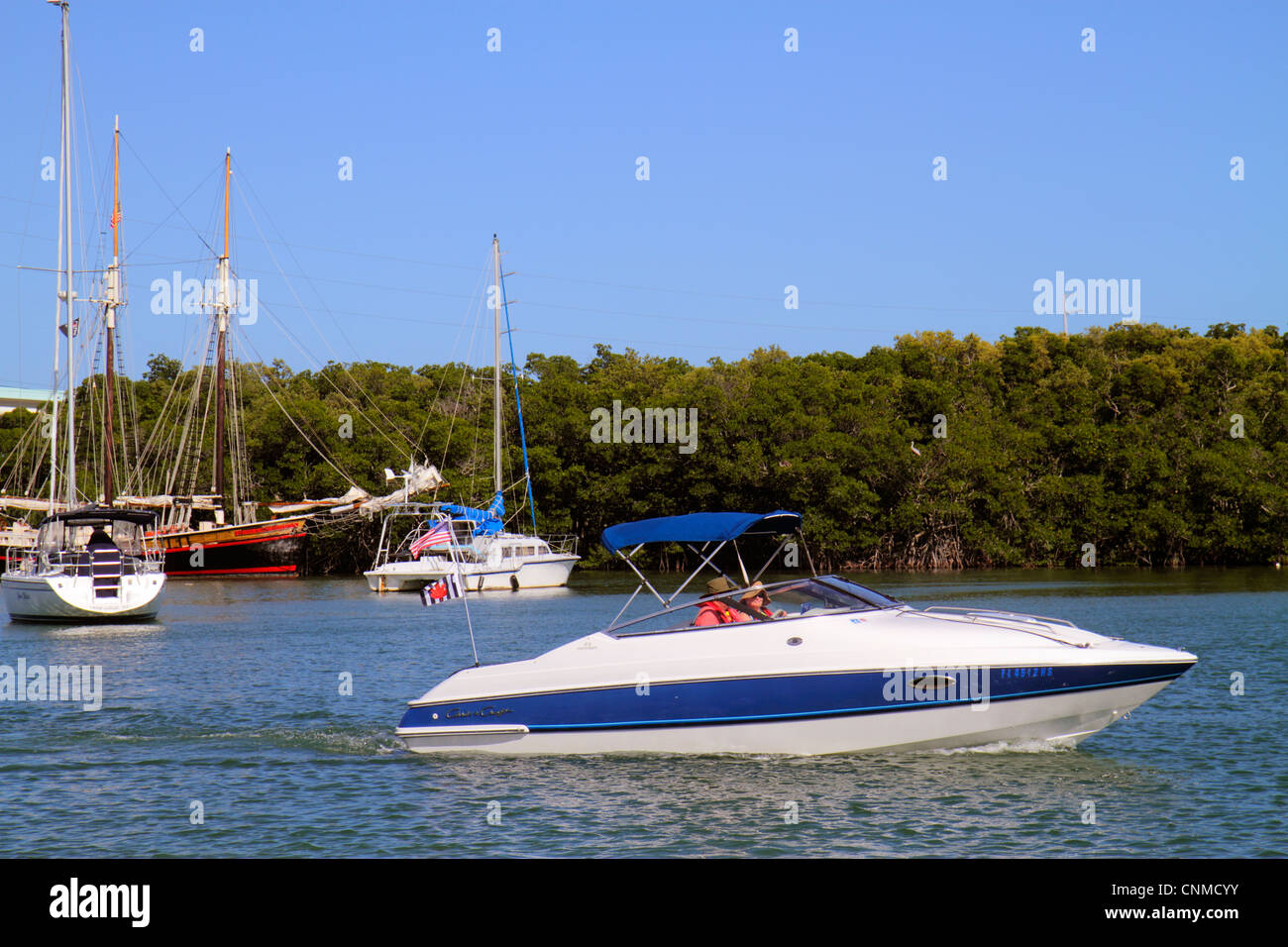 Florida Upper Key Largo Florida Keys,Blackwater Sound,Florida Bay water ...