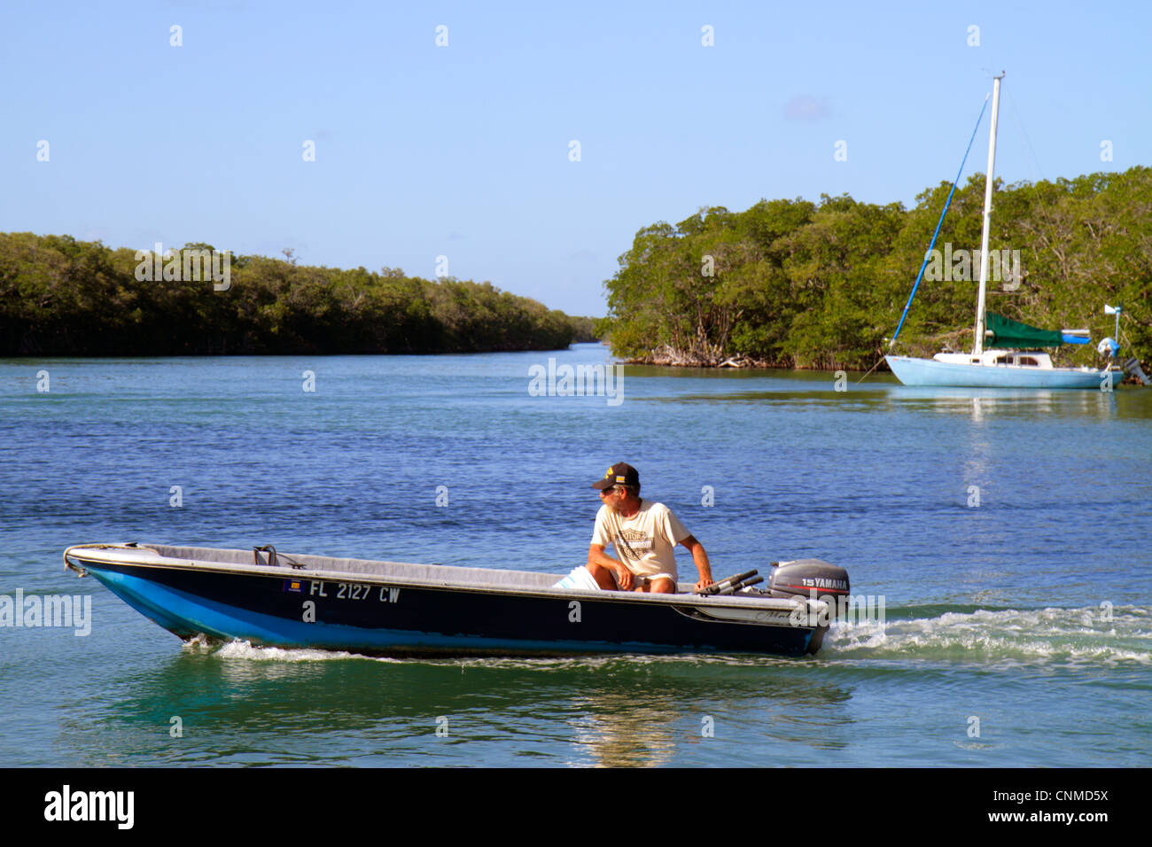 Jewfish hi-res stock photography and images - Alamy
