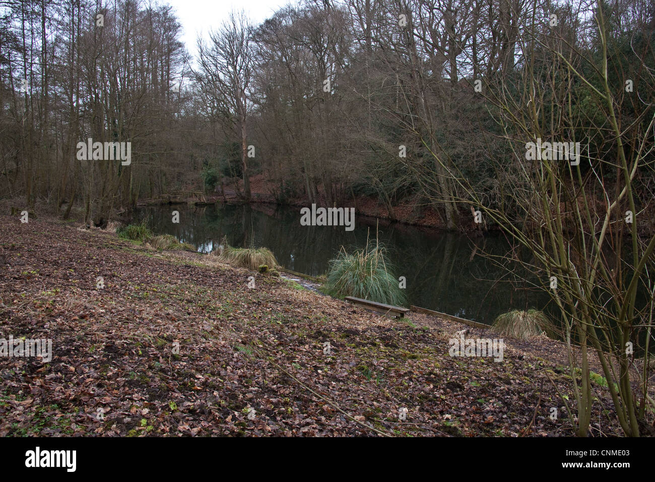English stillwater fishery hi-res stock photography and images - Alamy