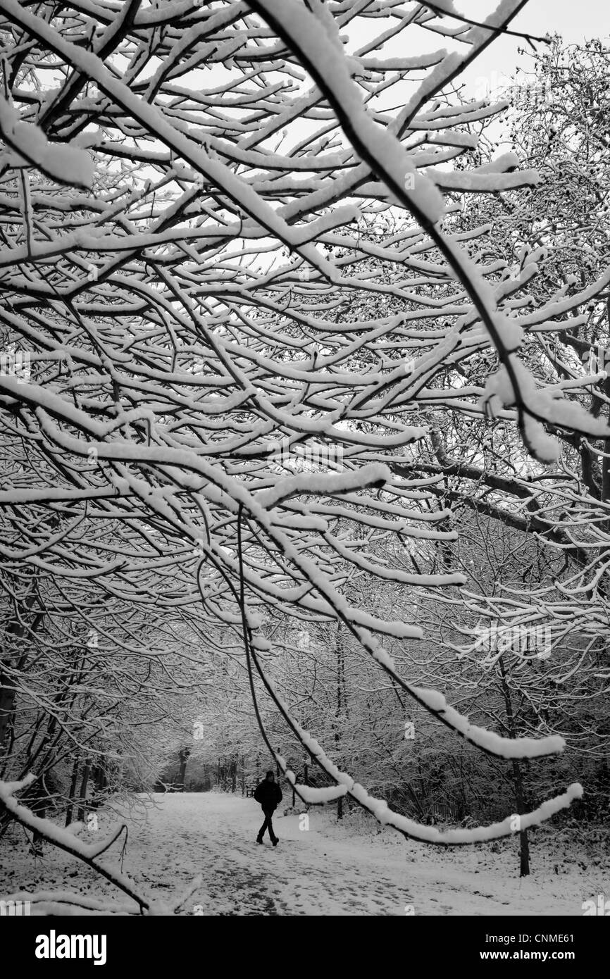 Chestnut walk hi-res stock photography and images - Alamy