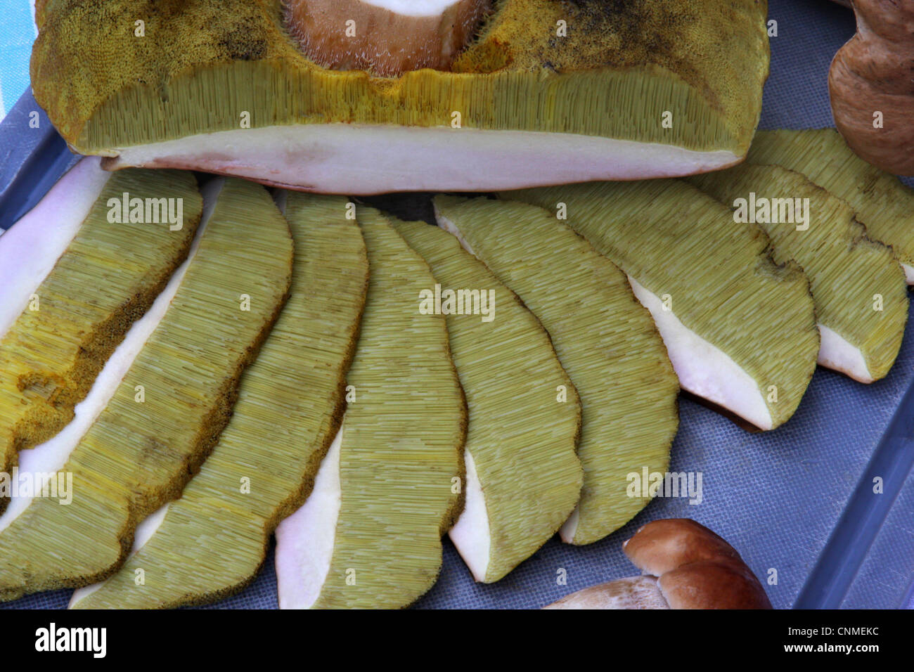 Cep (Boletus edulis) sliced fruiting body, showing colour and texture ...