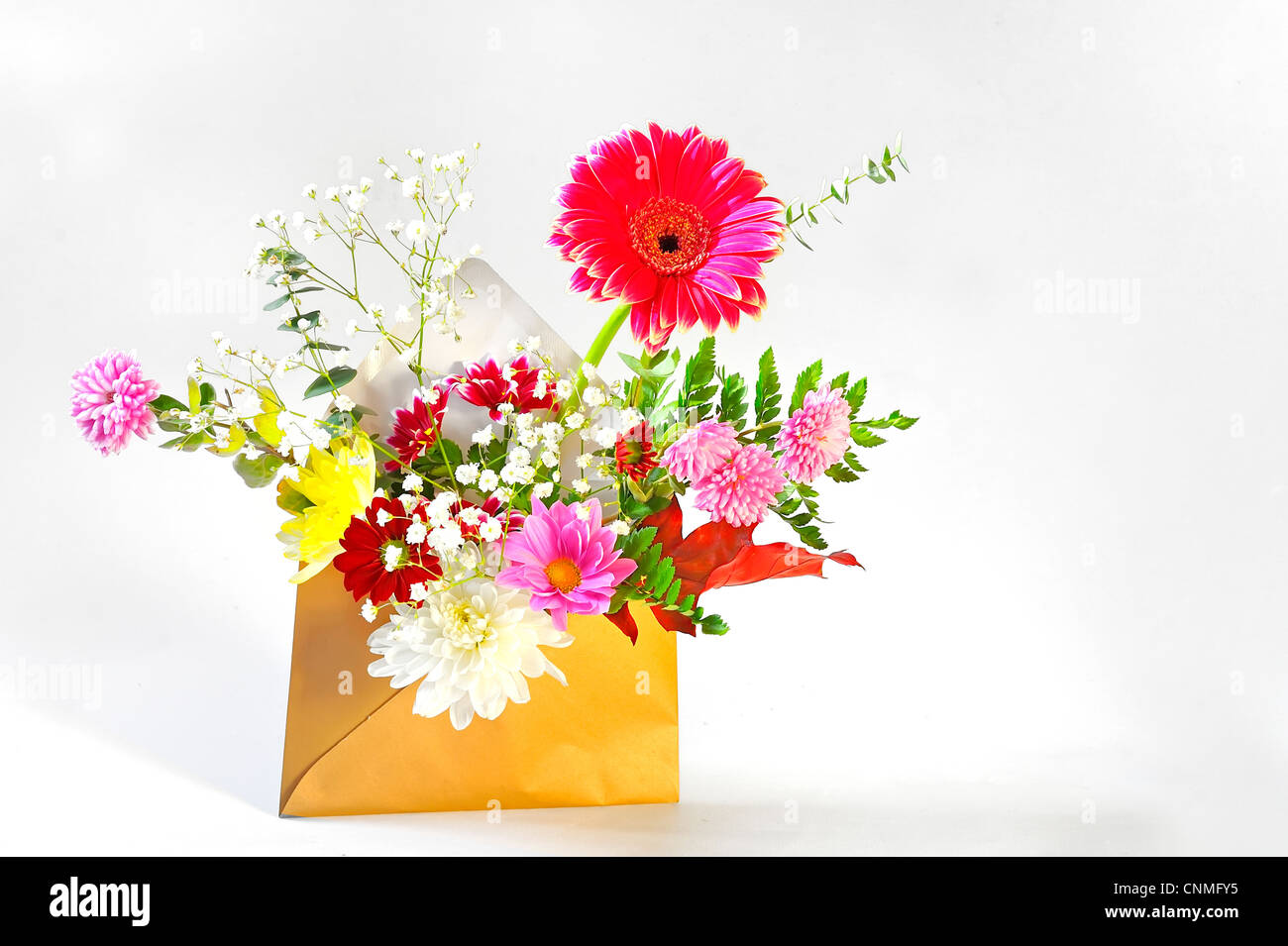 flowers in envelope Stock Photo - Alamy