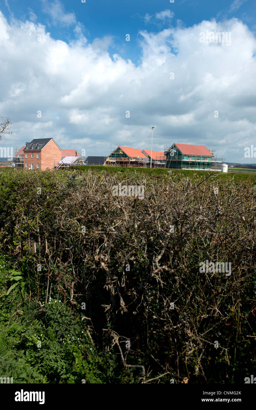The construction of new homes at Cranbrook, the new community ...