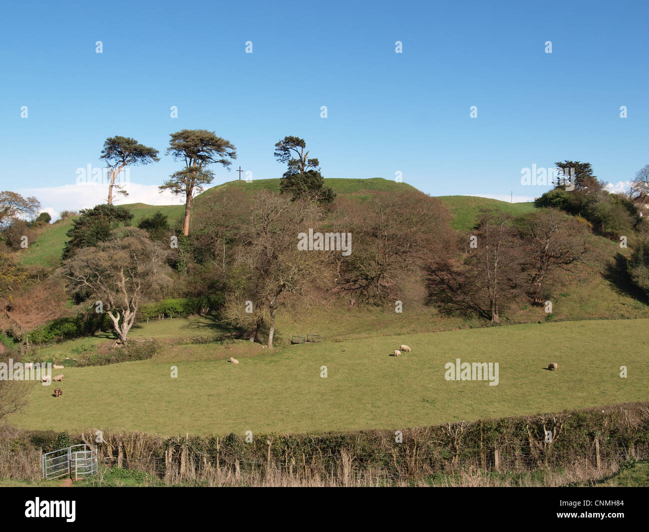 Nether stowey hi-res stock photography and images - Alamy