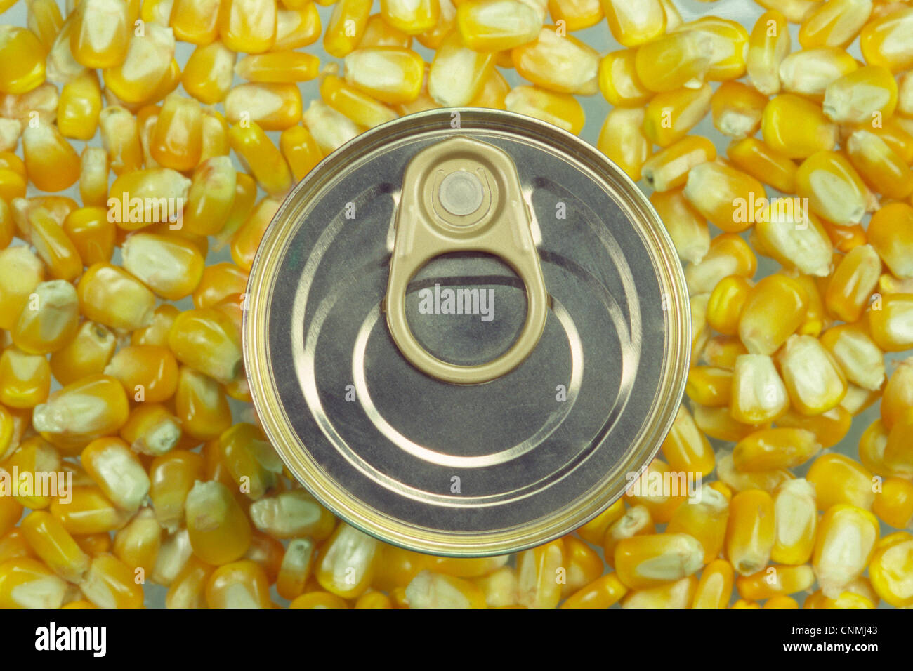 Can and Grains of Corn Stock Photo - Alamy