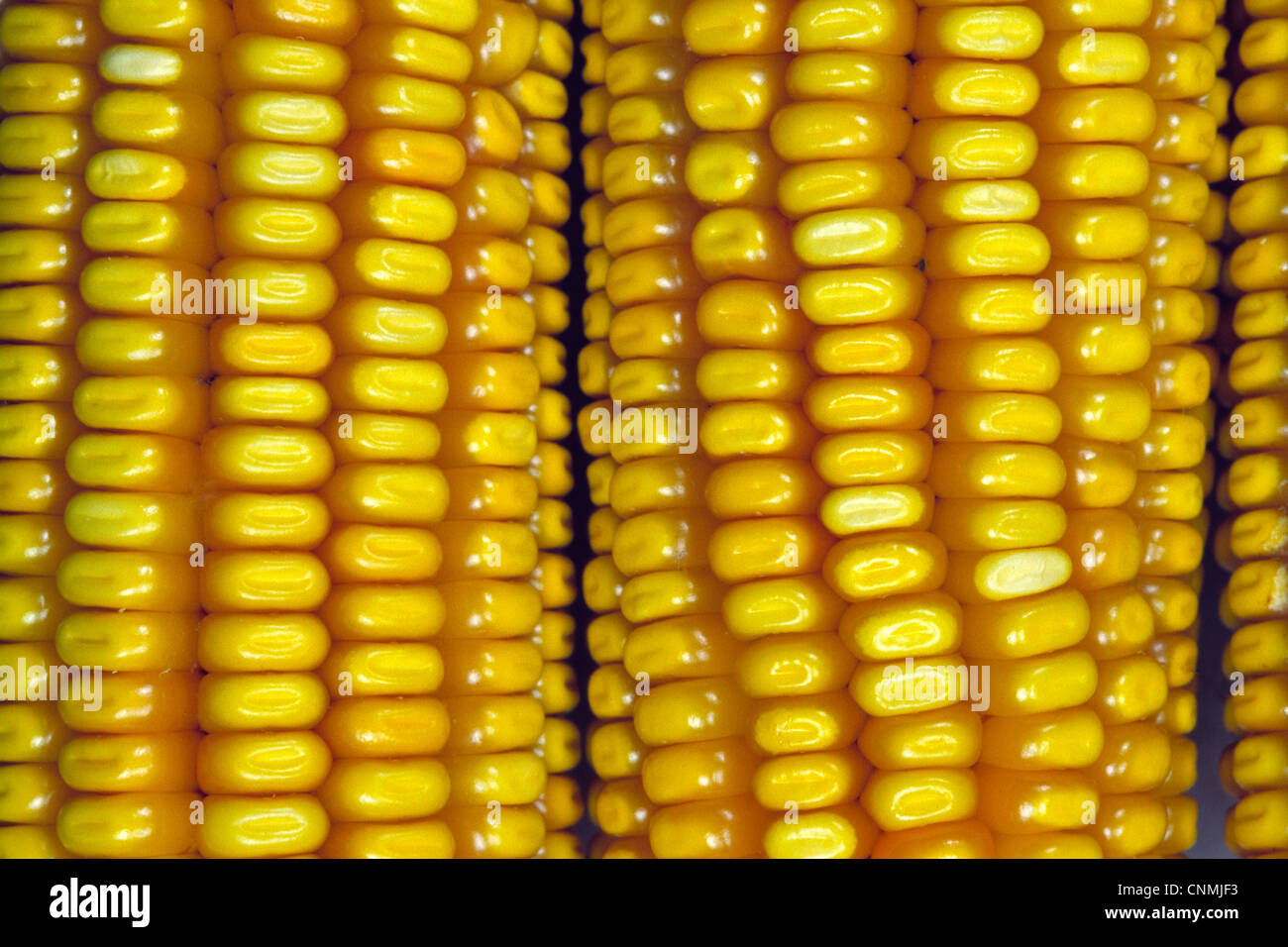 Corn Cereal Close up Stock Photo - Alamy