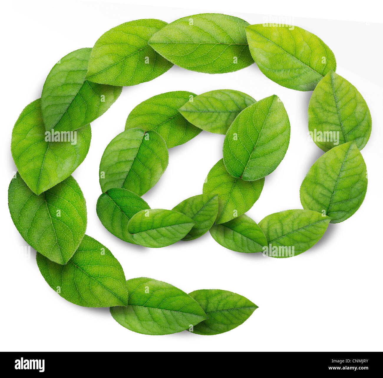 At email isolated symbol from green leaves abstract texture collage ...