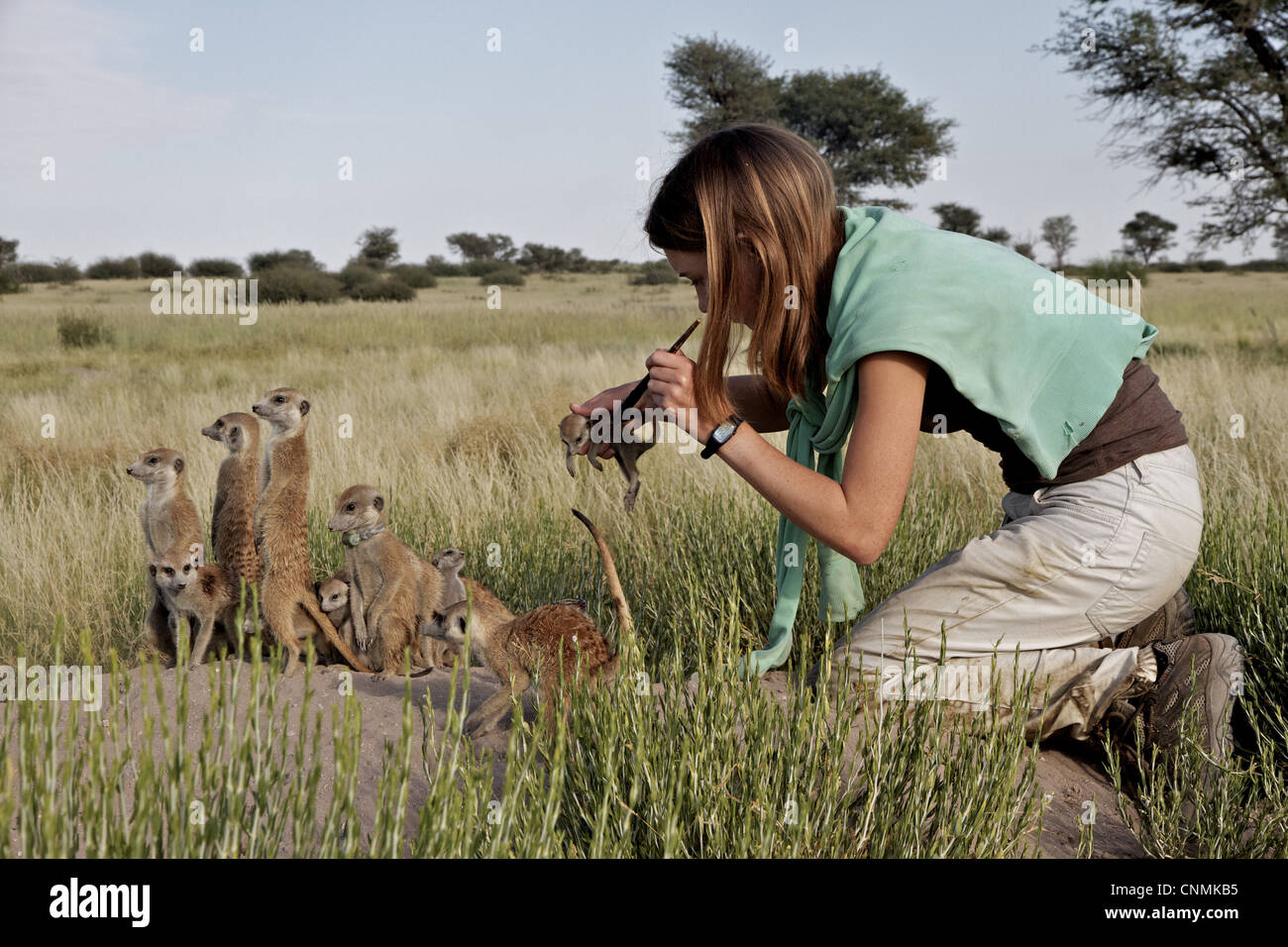 Conservation biologists africa hi-res stock photography and images - Alamy