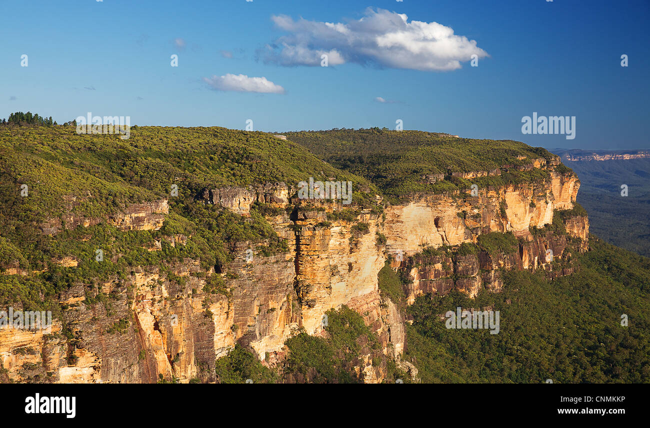 Sedimentary cliffs in Blue Mountains Stock Photo - Alamy