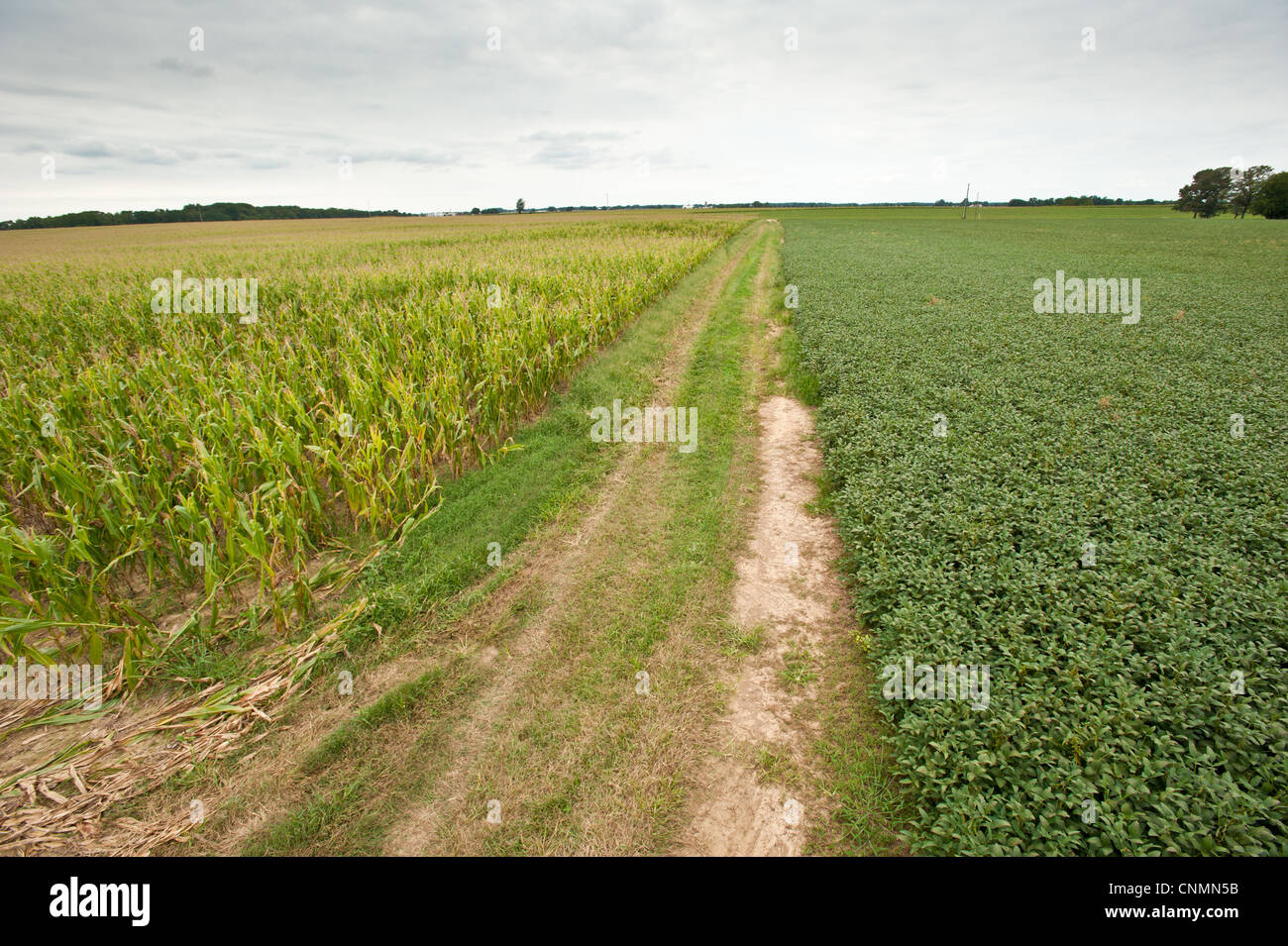 Dirt road between farming hi-res stock photography and images - Alamy