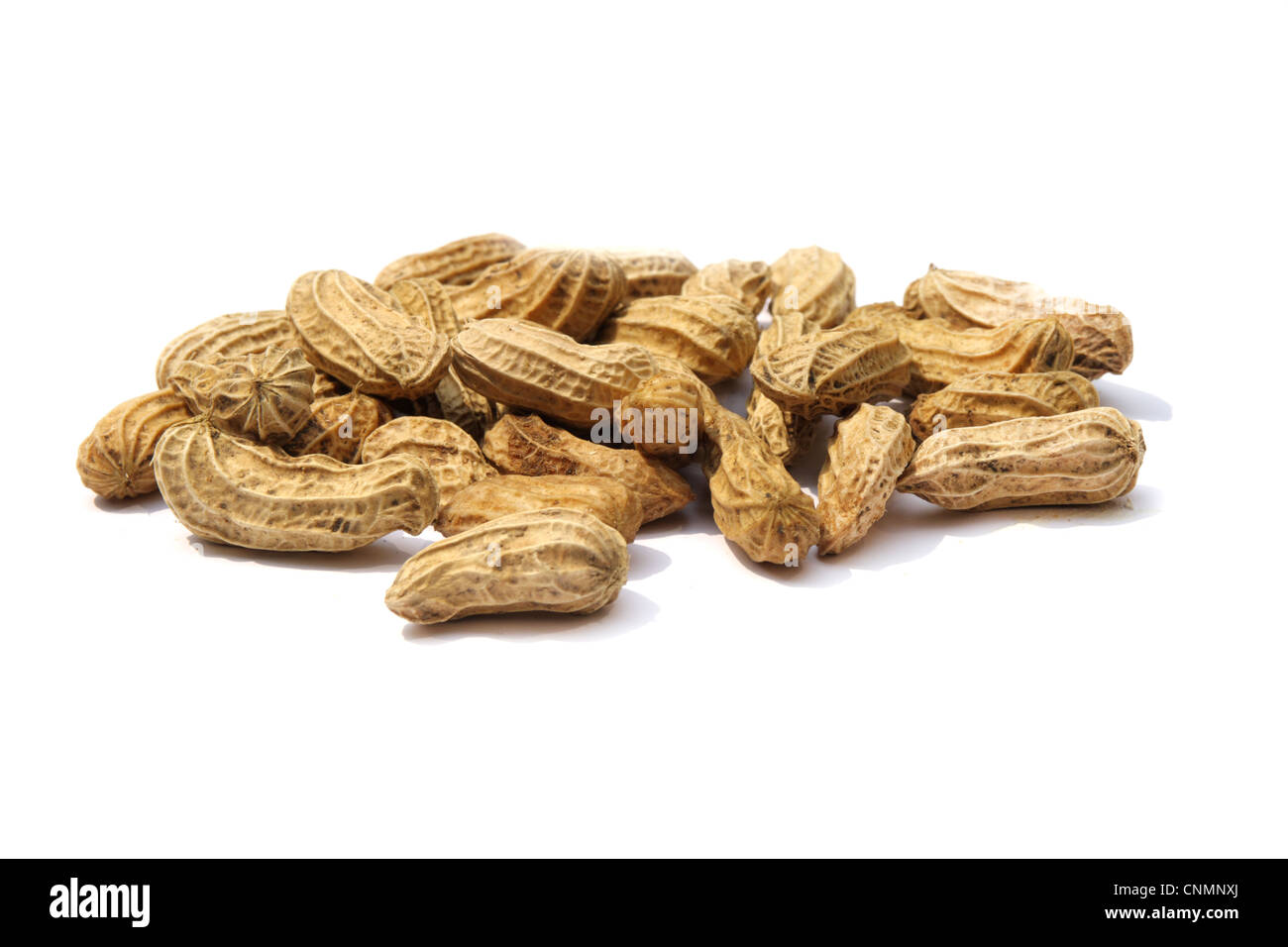Peanut bean peanuts Cut Out Stock Images & Pictures - Alamy