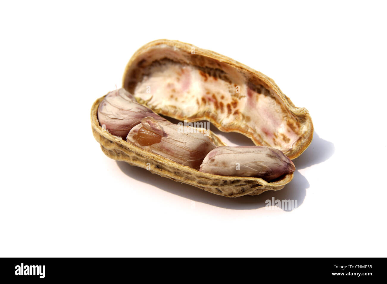 Peanut shells hi-res stock photography and images - Alamy