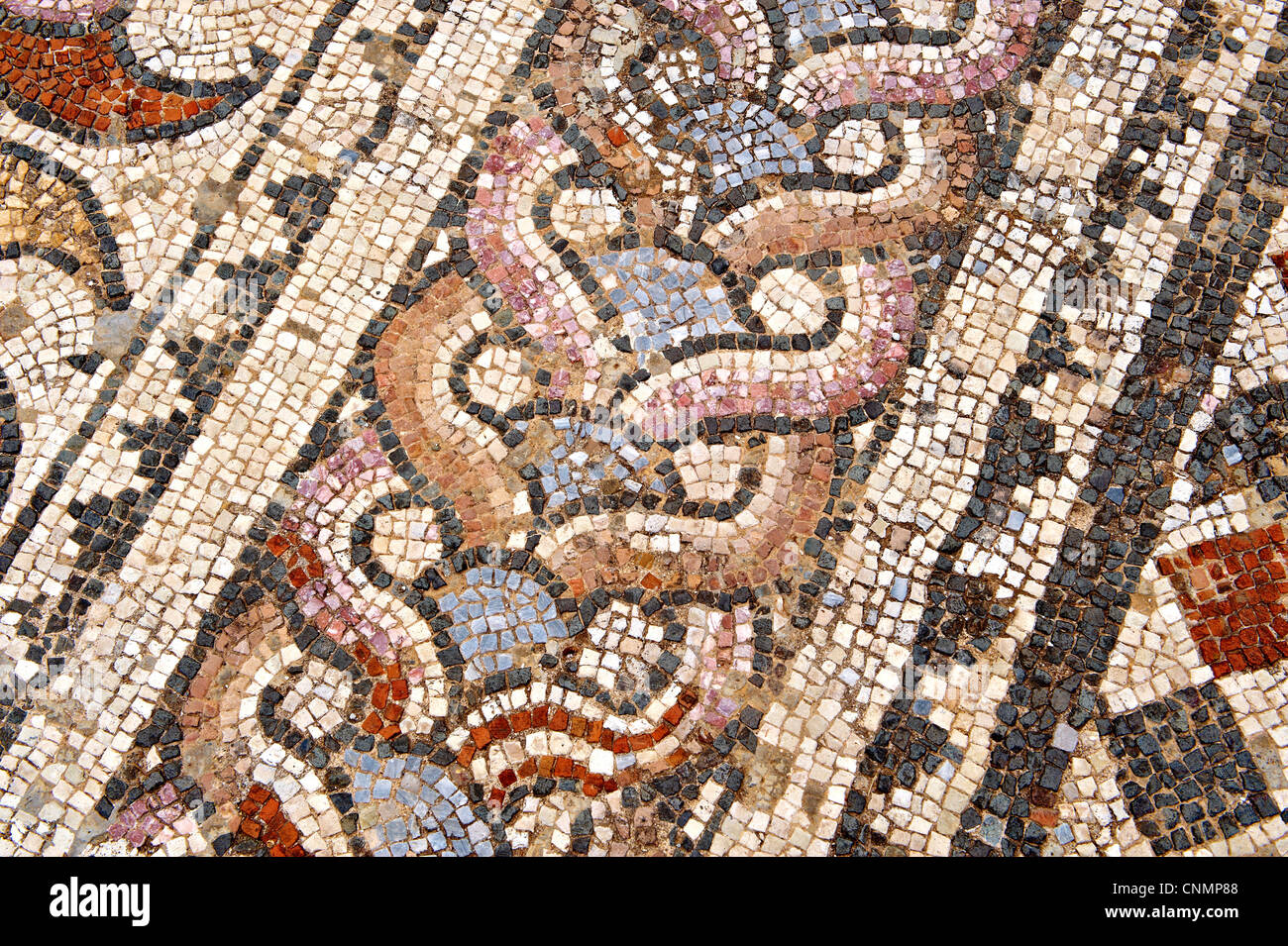 Second Century Roman Jewish mosaics from the Synagogue of Sardis ...