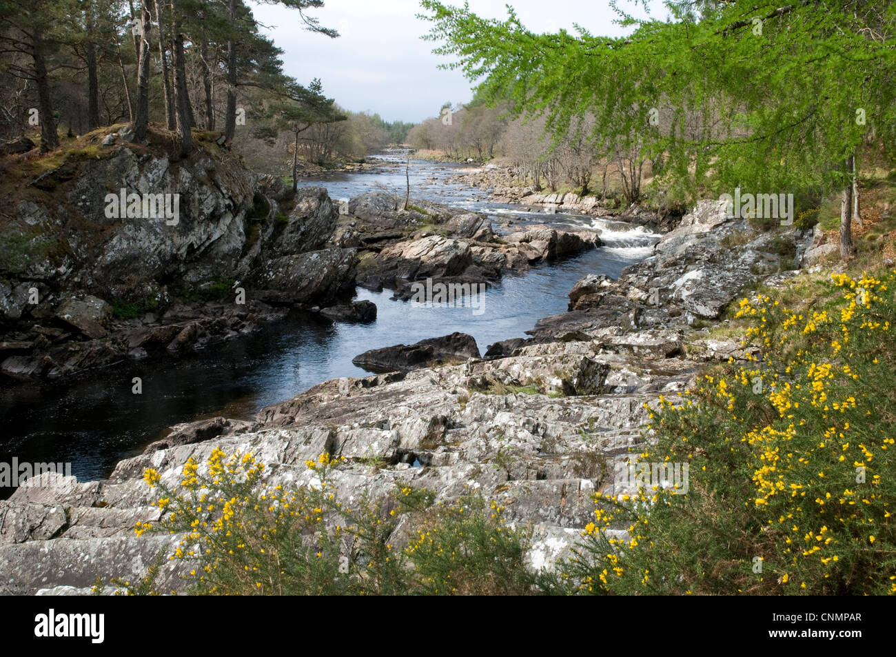 River rural scotland hi-res stock photography and images - Alamy