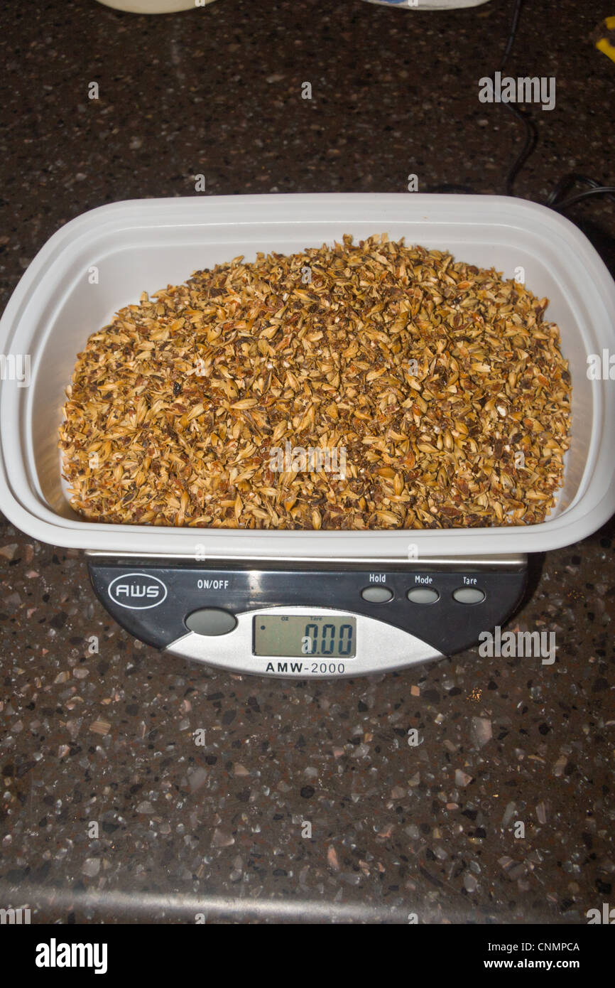 Grain scale hi-res stock photography and images - Alamy