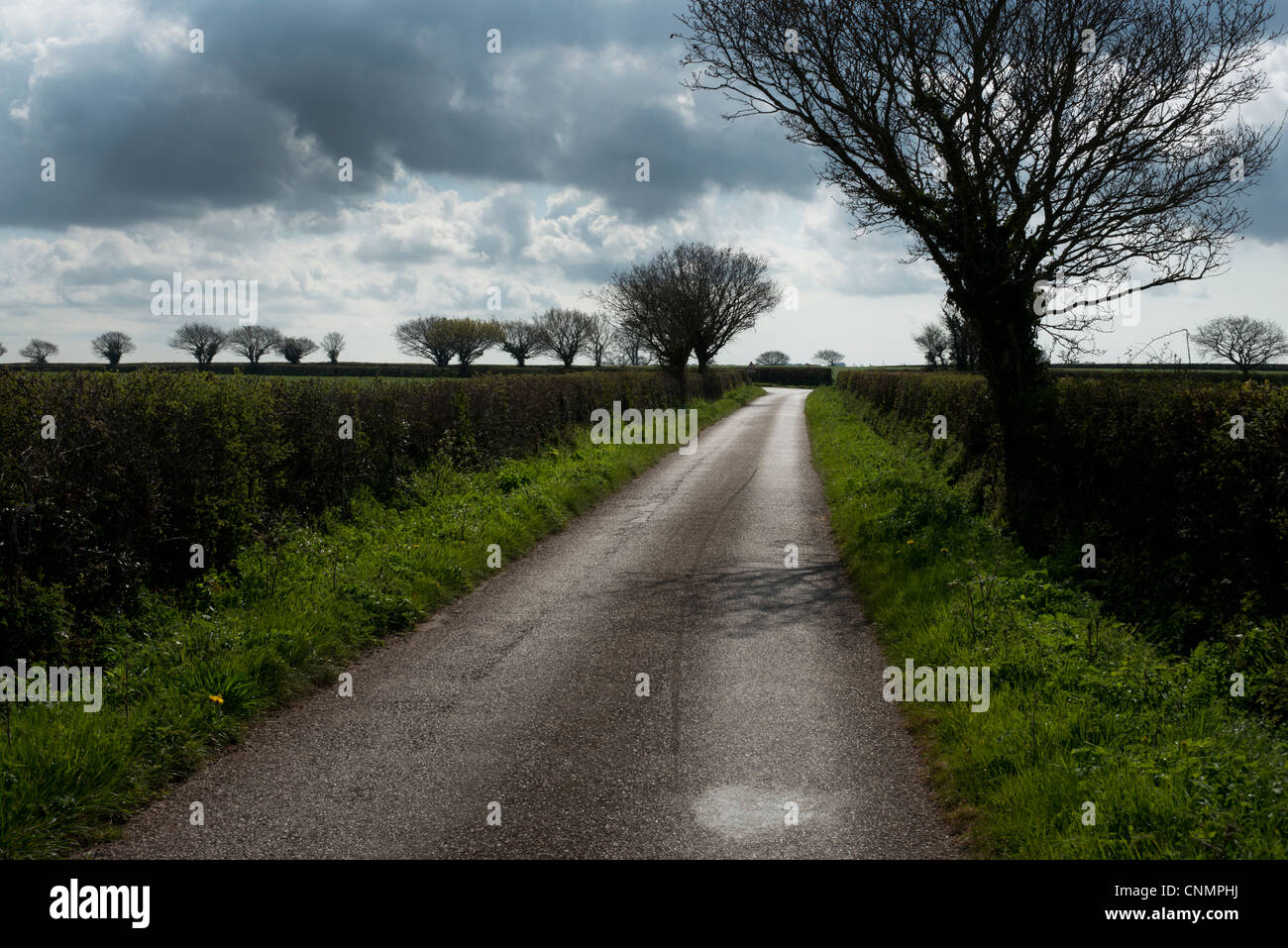 Devon countryside hi-res stock photography and images - Alamy