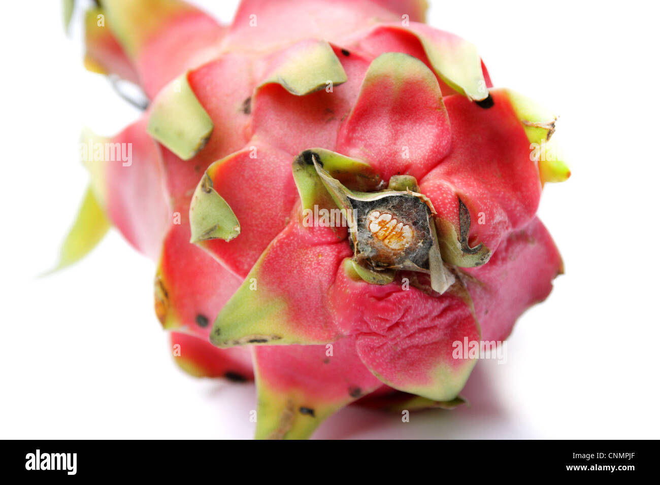 Pitaya , Dragon fruit Stock Photo - Alamy