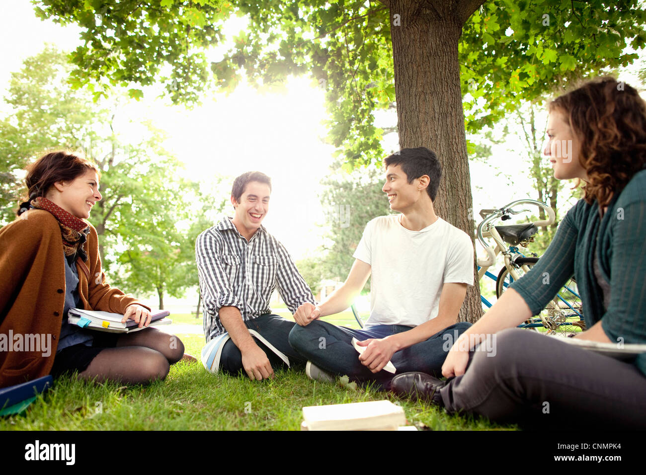 Students studying in grass at park Stock Photo - Alamy