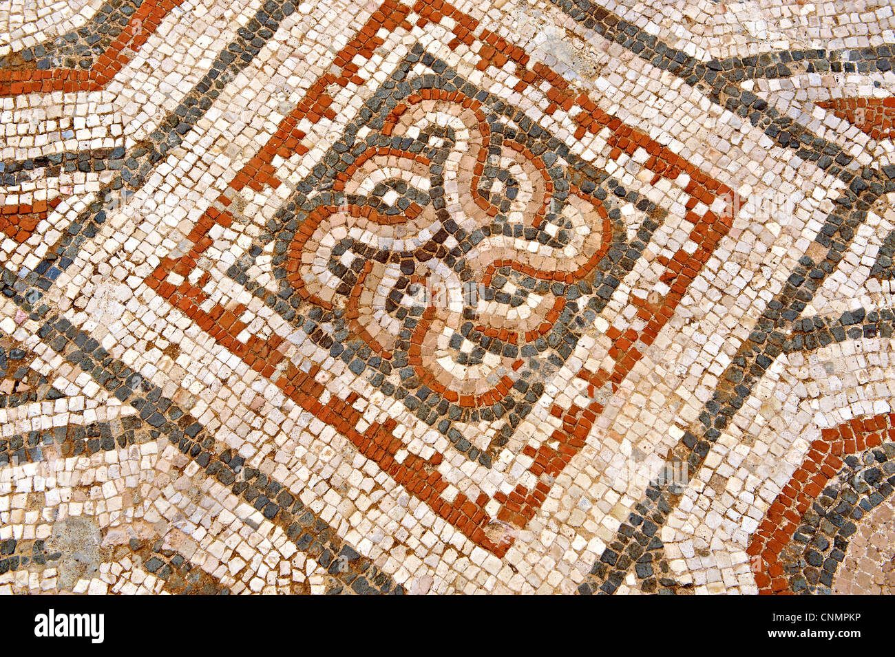 Second Century Roman Jewish mosaics from the Synagogue of Sardis ...