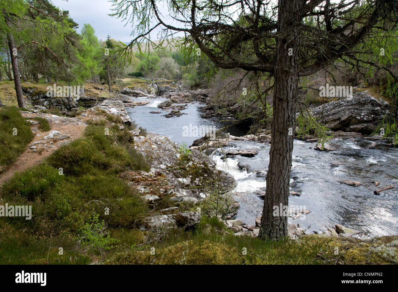River Cassley, Sutherland, Scotland, UK Stock Photo - Alamy