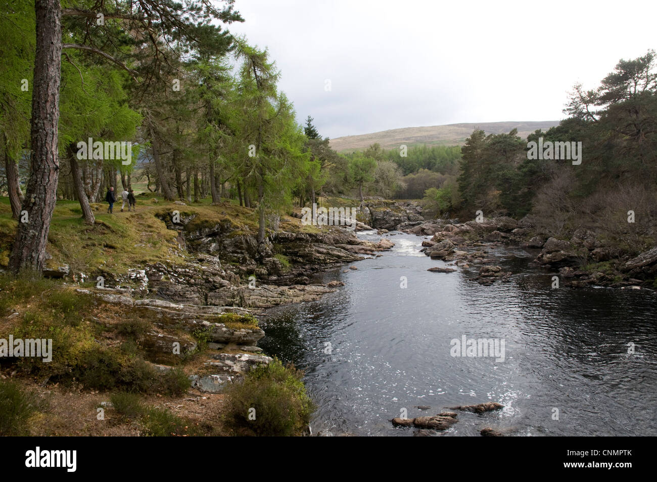 River cassley hi-res stock photography and images - Alamy