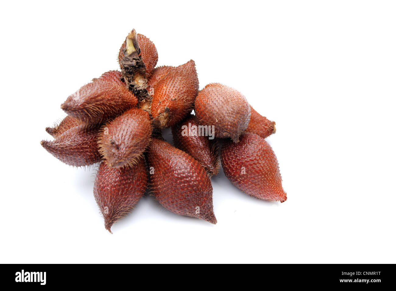 Rakum palm fruit , Zalacca fruit Stock Photo - Alamy