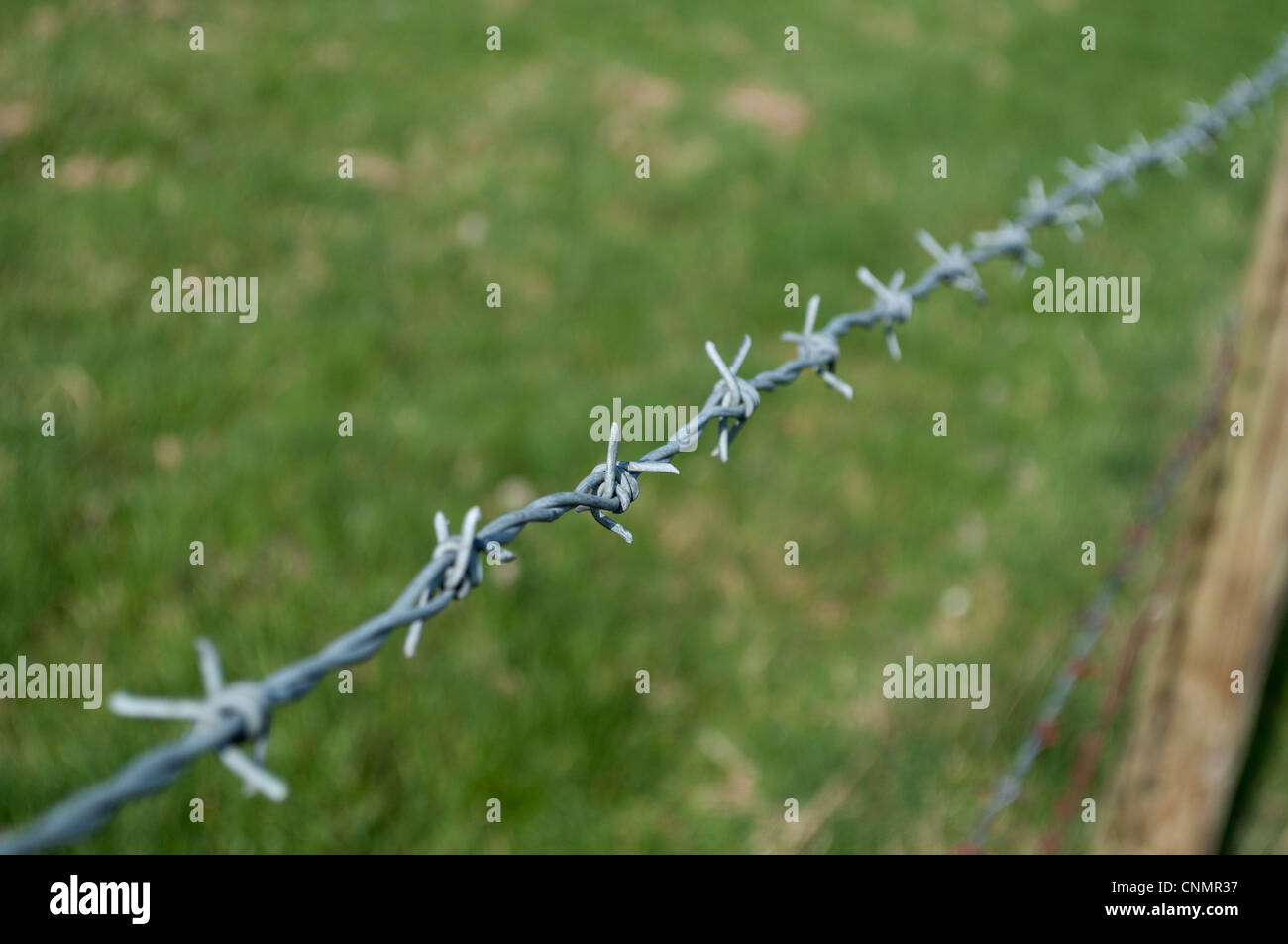Single strand of barbed wire fence with selective focus on one barb ...