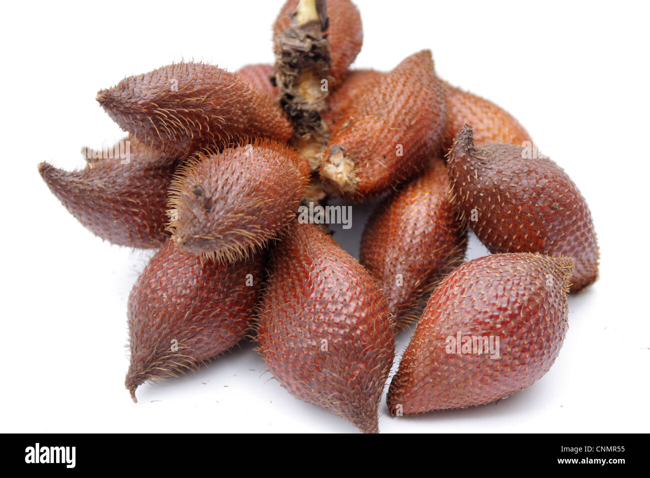 Rakum palm fruit , Zalacca fruit Stock Photo - Alamy