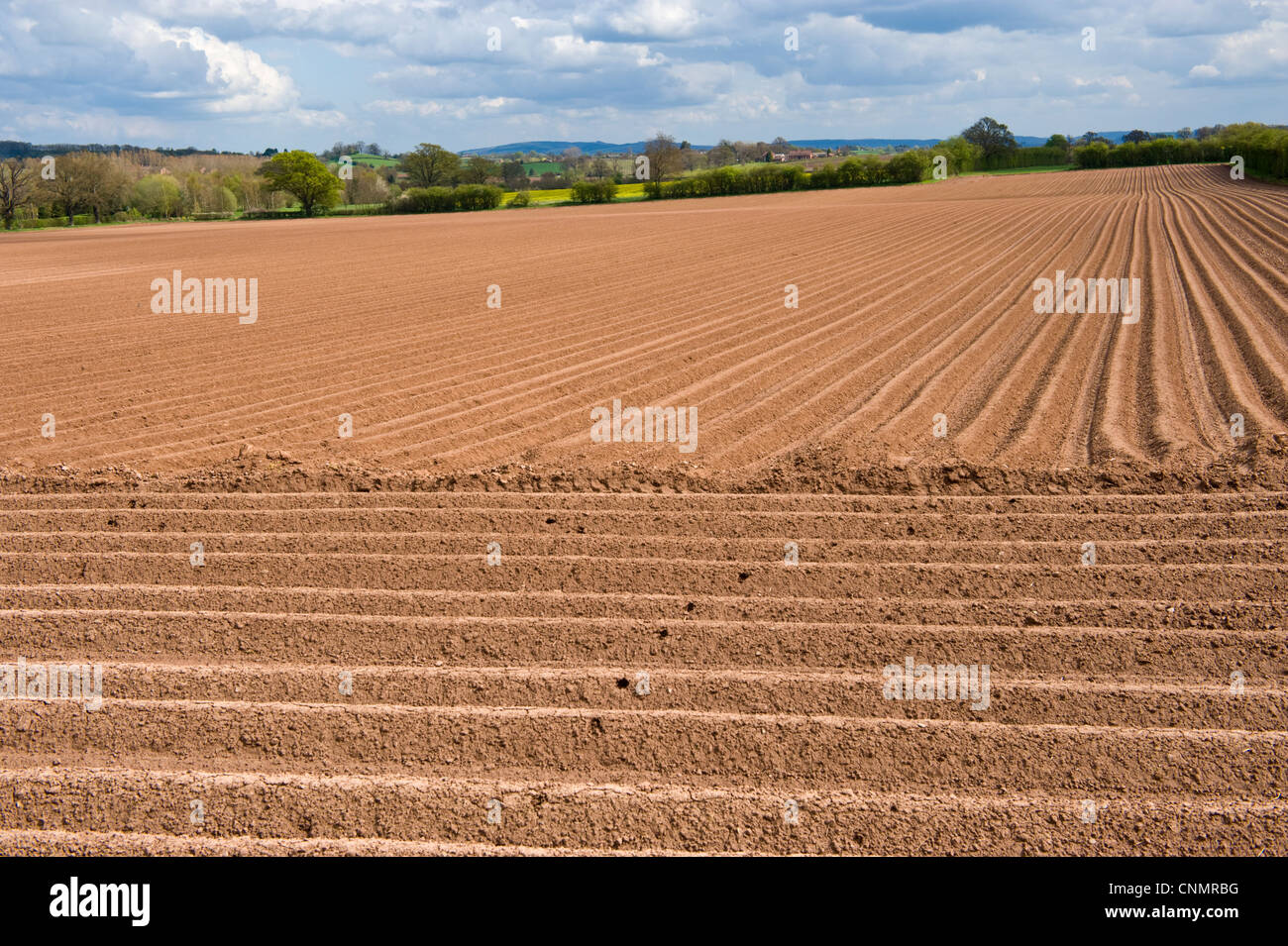 Ploughed field hi-res stock photography and images - Alamy