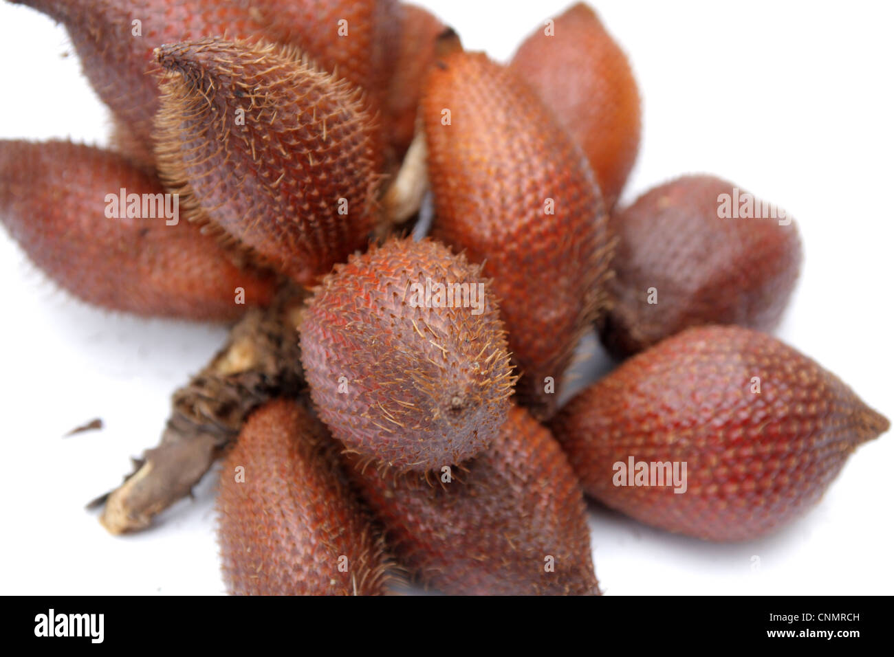 Rakum palm fruit , Zalacca fruit Stock Photo - Alamy