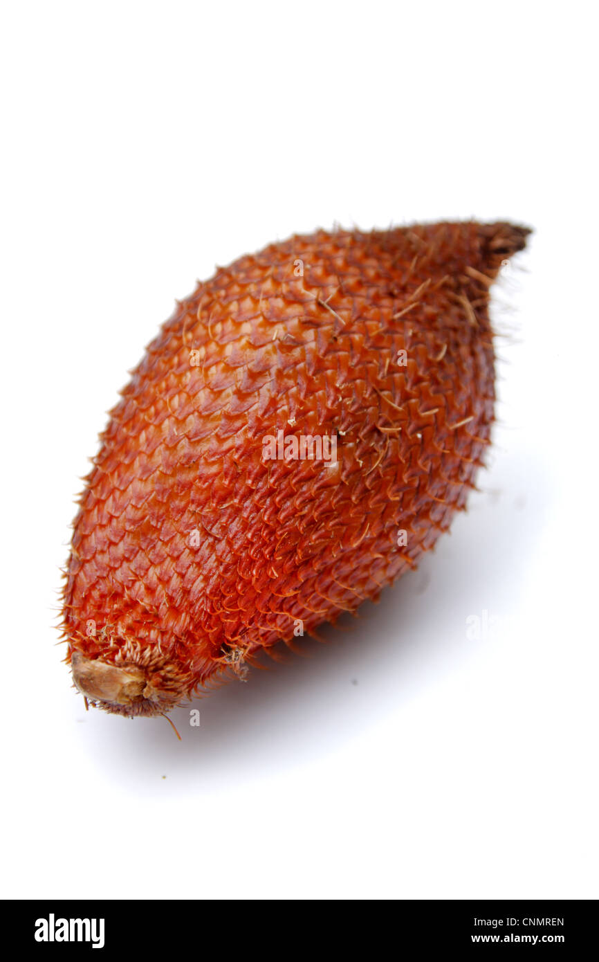 Rakum palm fruit , Zalacca fruit Stock Photo - Alamy
