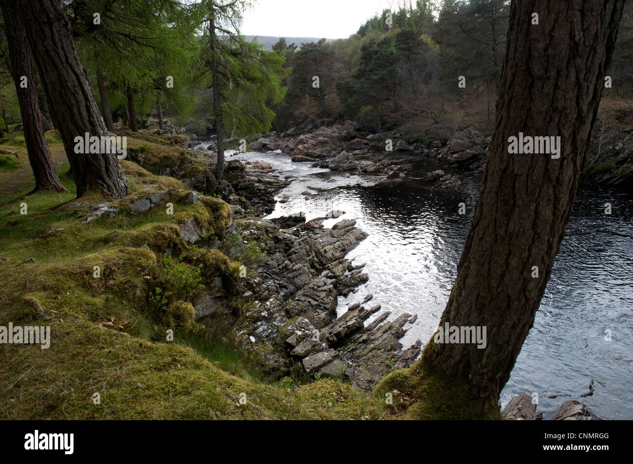 River cassley hi-res stock photography and images - Alamy